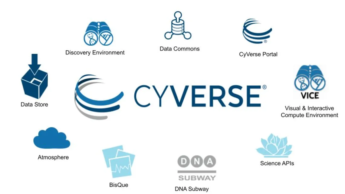 Platforms | CyVerse